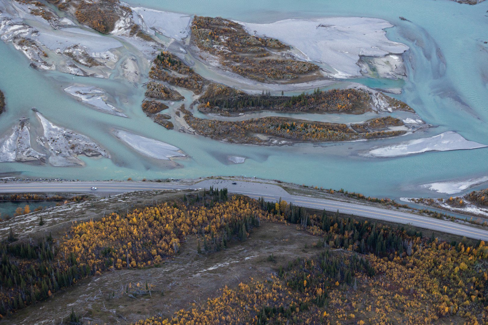 Learn, share, create: how to experience Jasper, not just visit ...