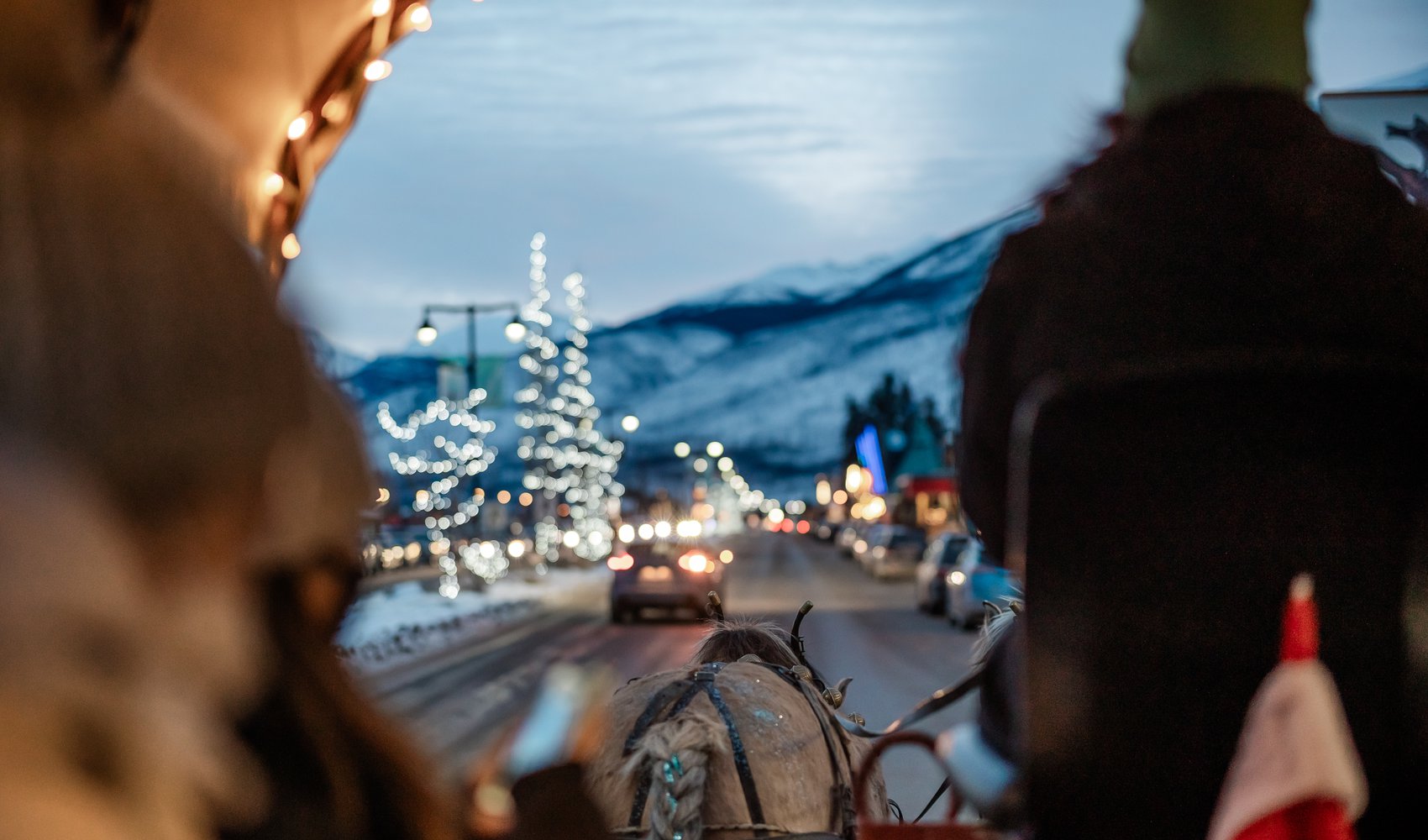 What to expect at this year's Jasper in January festival | Tourism Jasper