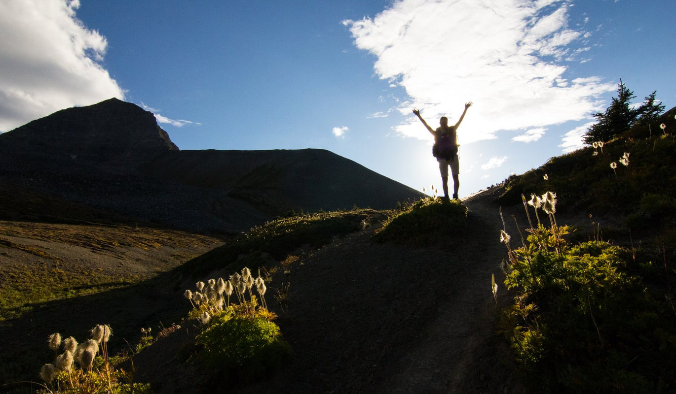 Maligne Valley Hiker's Shuttle | Tourism Jasper