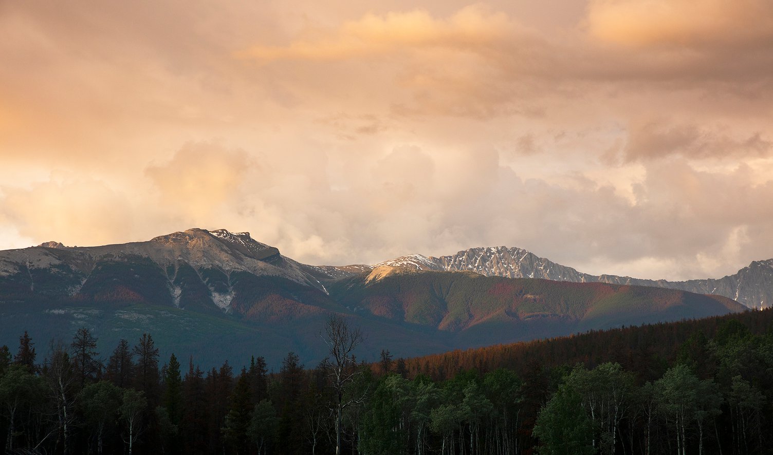 Jasper's July Photos of the Month | Tourism Jasper