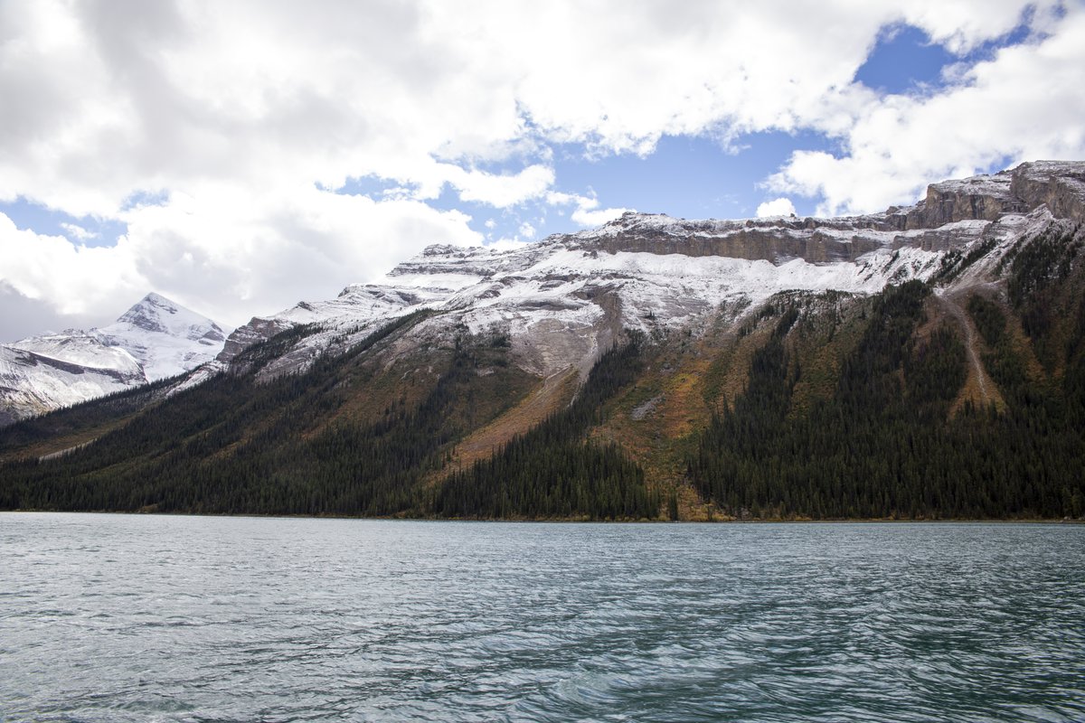Is a Wildlife Tour worth it? Photographer Seth Macey shares his Jasper ...