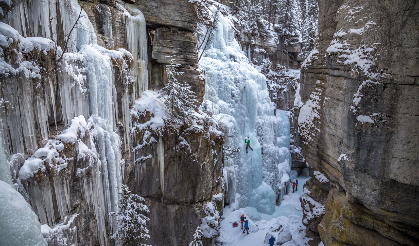 Jasper's January Photos of the Month | Tourism Jasper