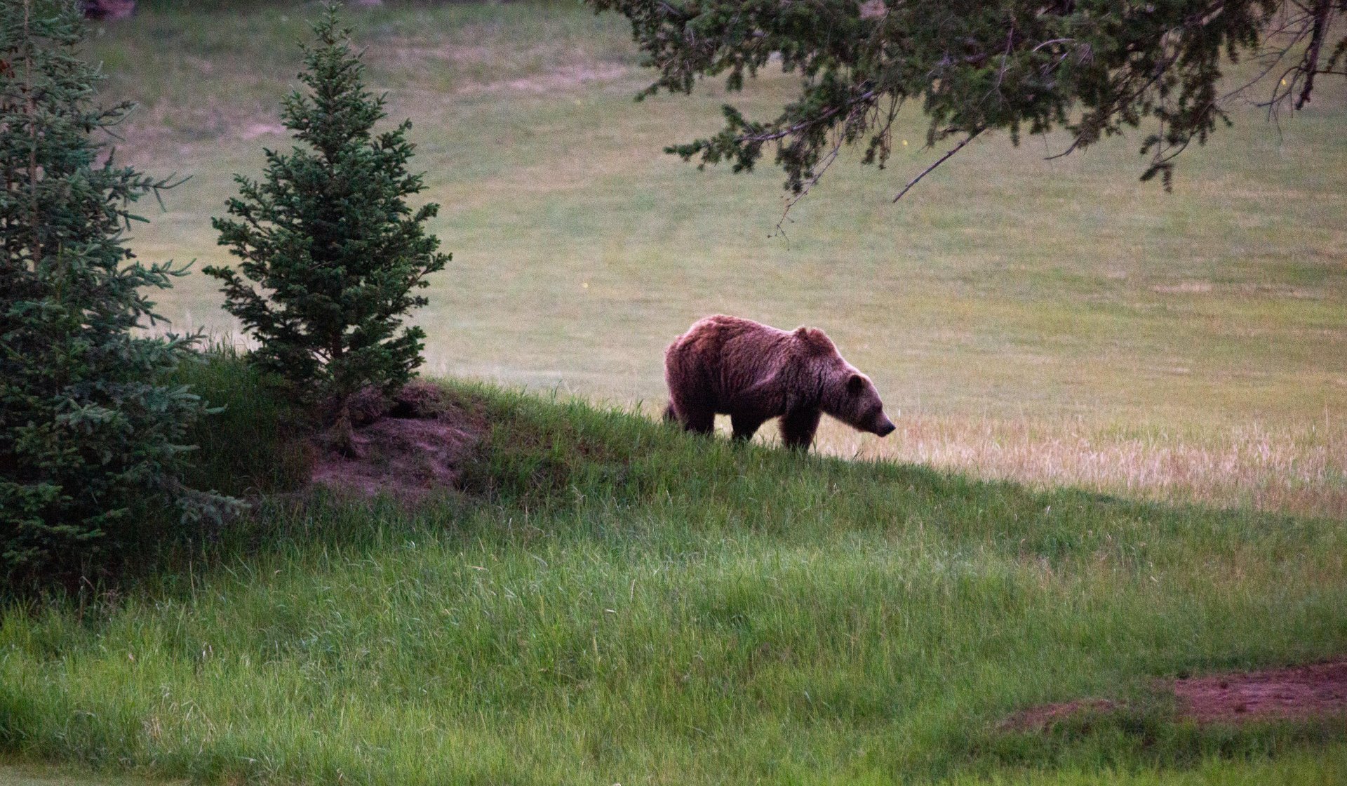 Jasper National Park | Official Guide | Tourism Jasper