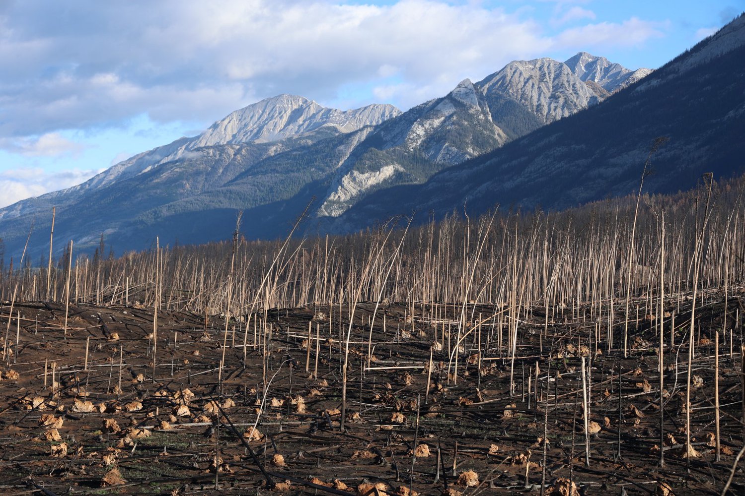 Jasper Wildfire | Tourism Jasper