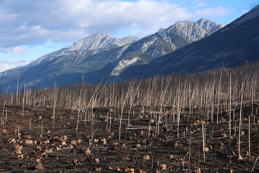 Jasper Wildfire | Tourism Jasper