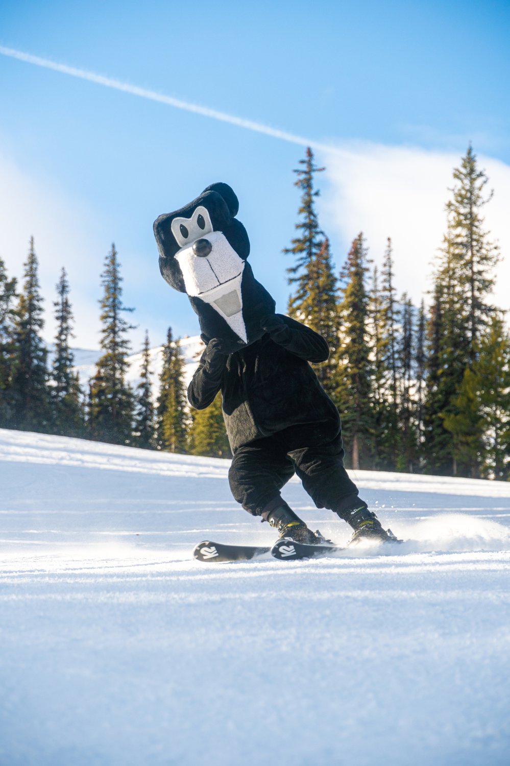 What to expect at this year's Jasper in January festival | Tourism Jasper