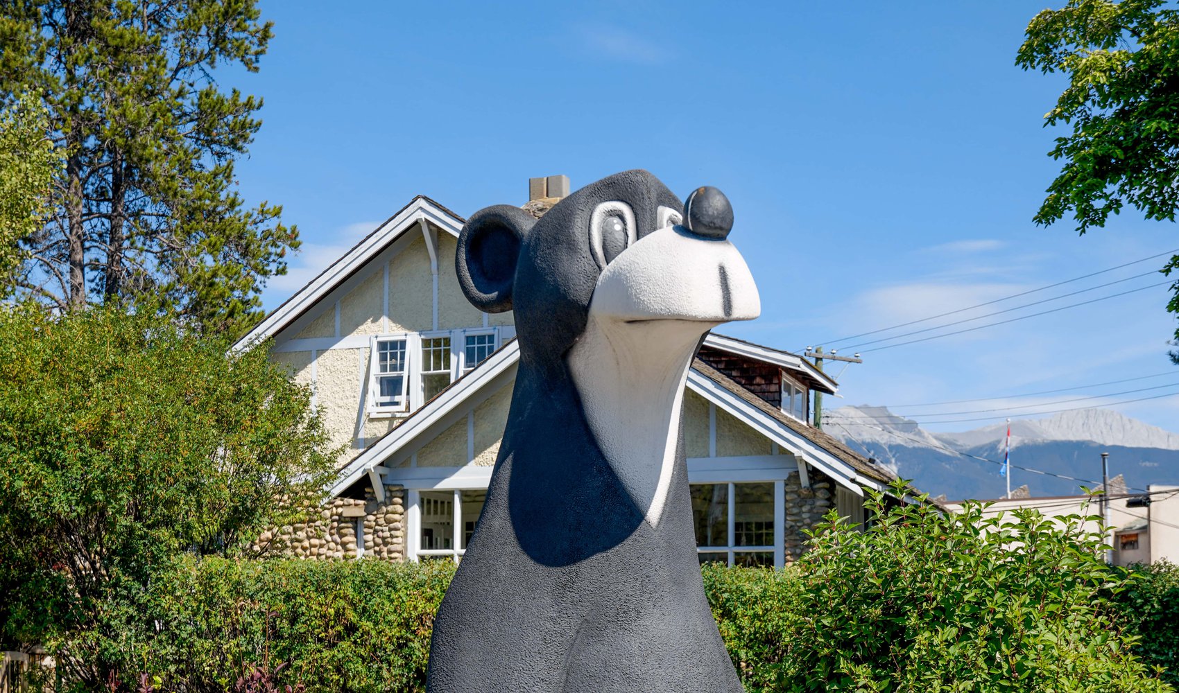 Jasper The Bear Scavenger Hunt | Tourism Jasper