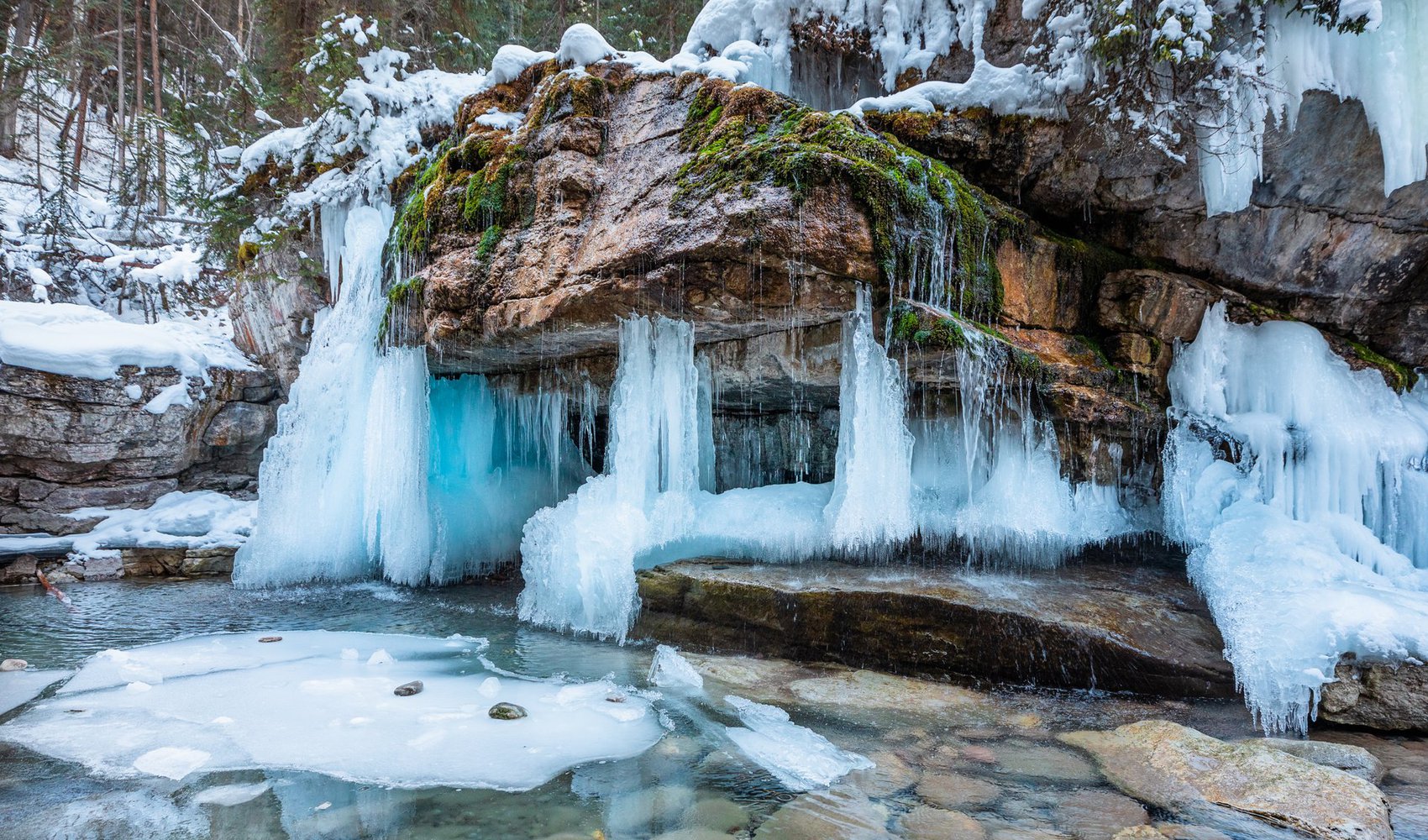 Jasper's April Photos of the Month | Tourism Jasper