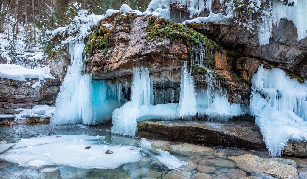 Jasper's April Photos of the Month | Tourism Jasper