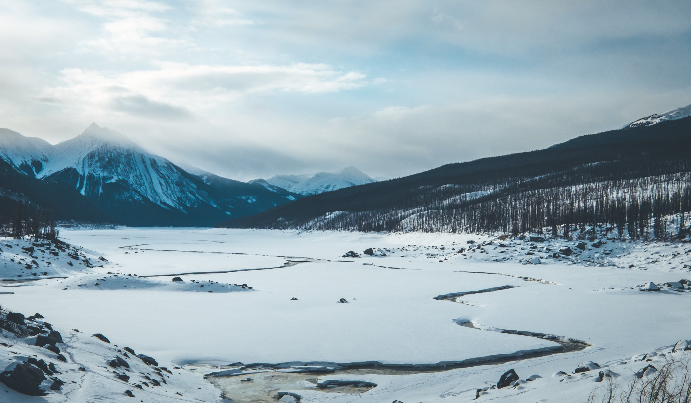 Jasper's November Photos of the Month | Tourism Jasper