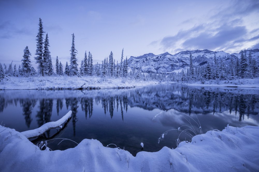 13 winter activities in Jasper for the mature traveler | Tourism Jasper