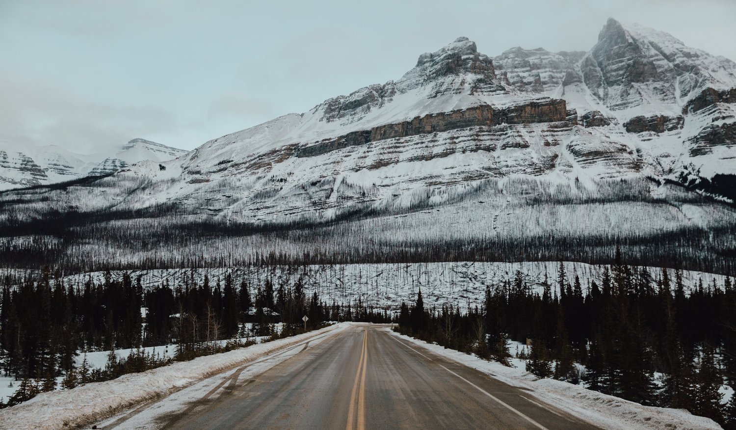 How to get to Jasper National Park | Tourism Jasper