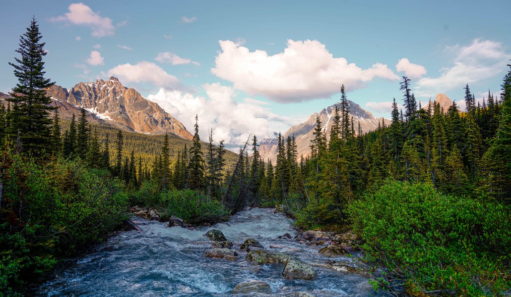 Jasper's August Photos of the Month | Tourism Jasper