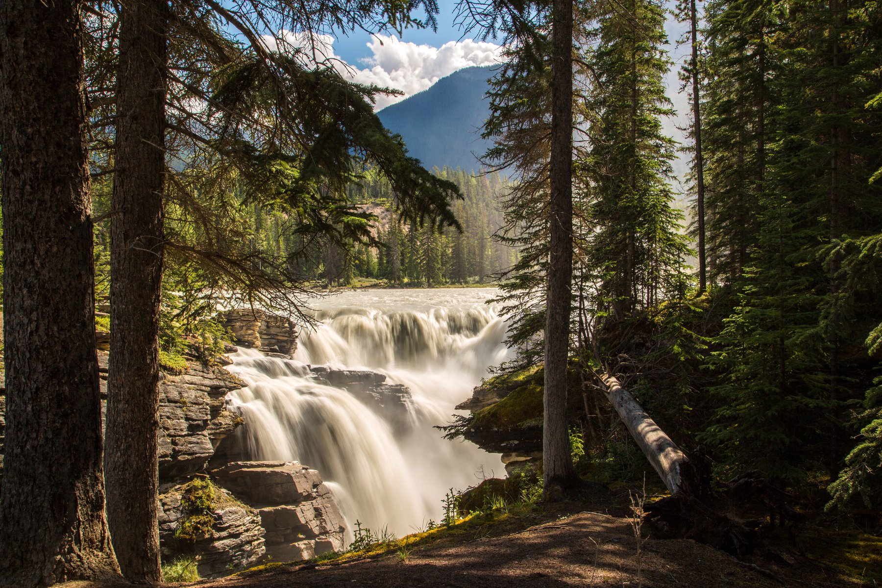 12 marvelous things to do in Jasper National Park: non-hiker edition ...