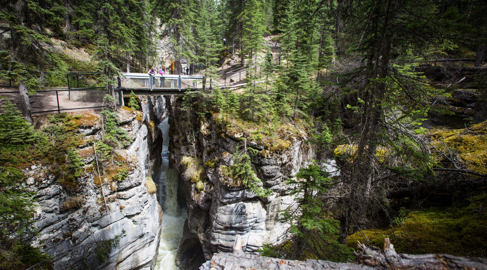 Maligne Canyon | Tourism Jasper