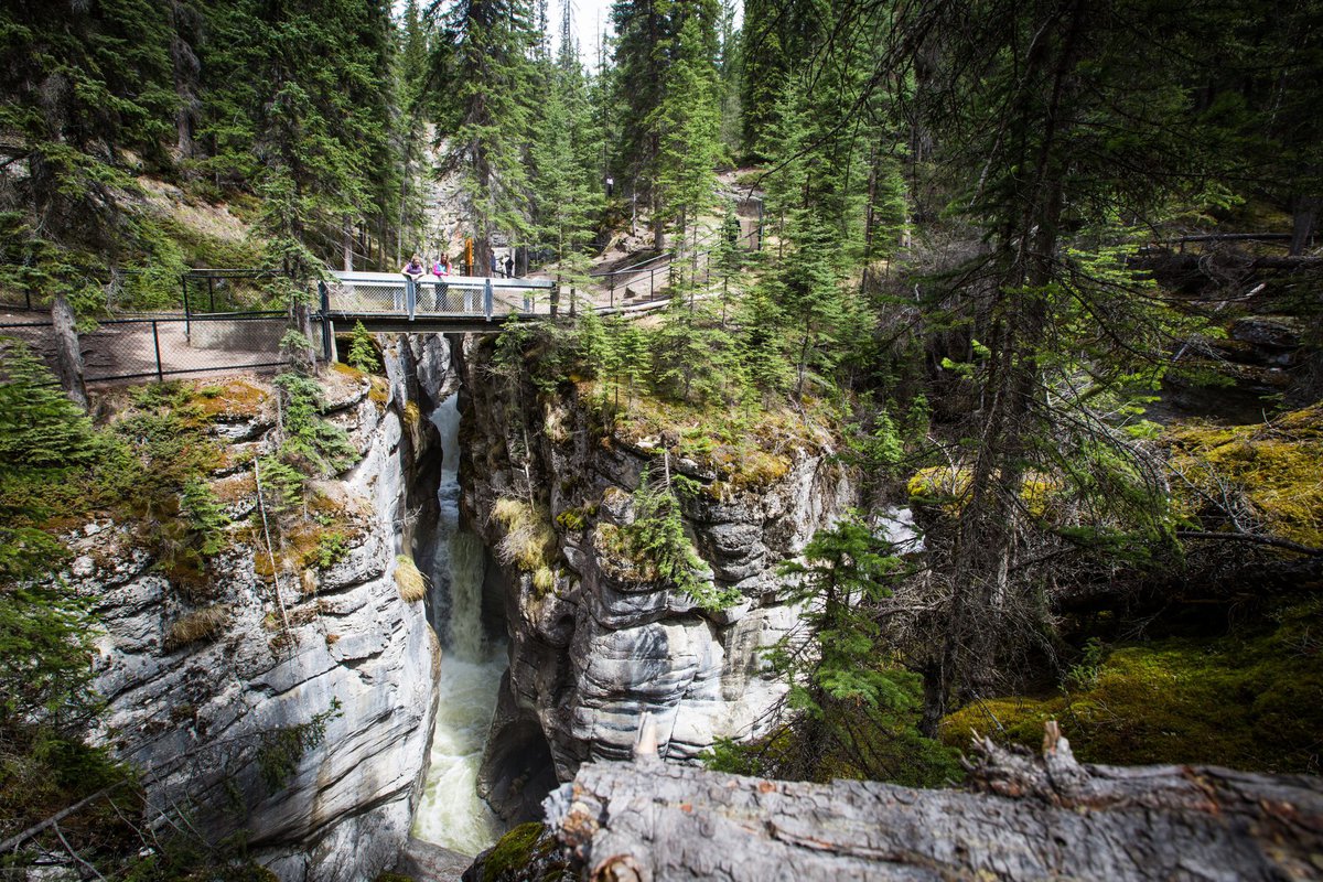 14 Marvelous Things to do in Jasper Canada This Summer | Tourism Jasper