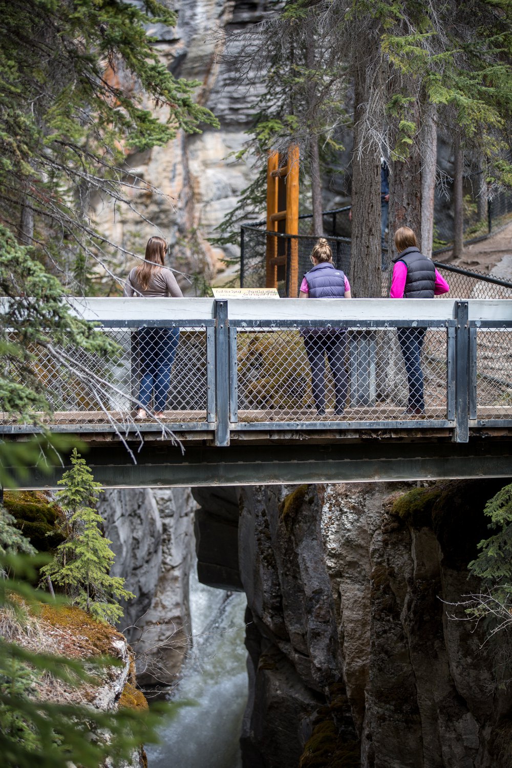 Maligne Canyon | Tourism Jasper
