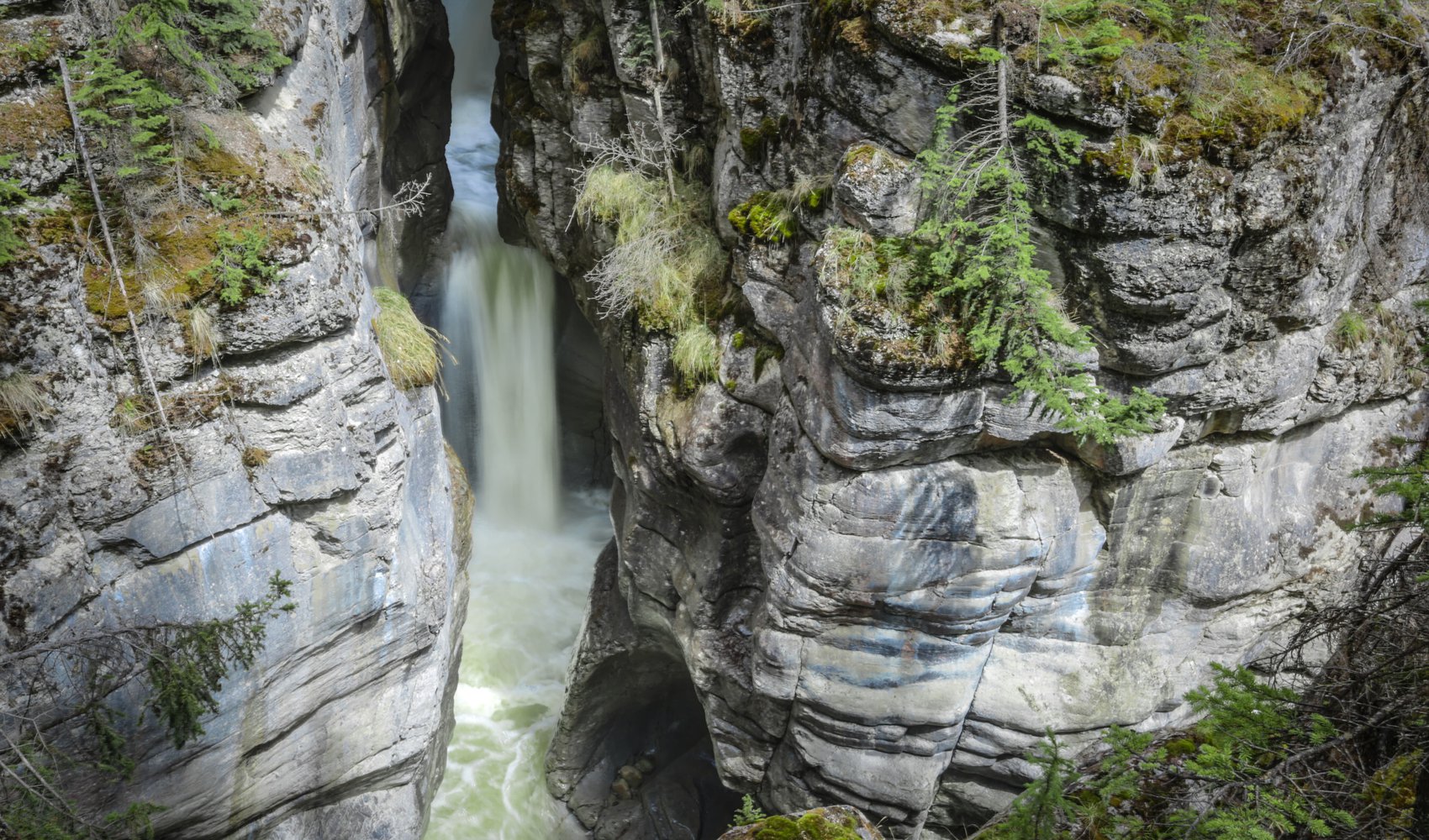 Maligne Canyon | Tourism Jasper