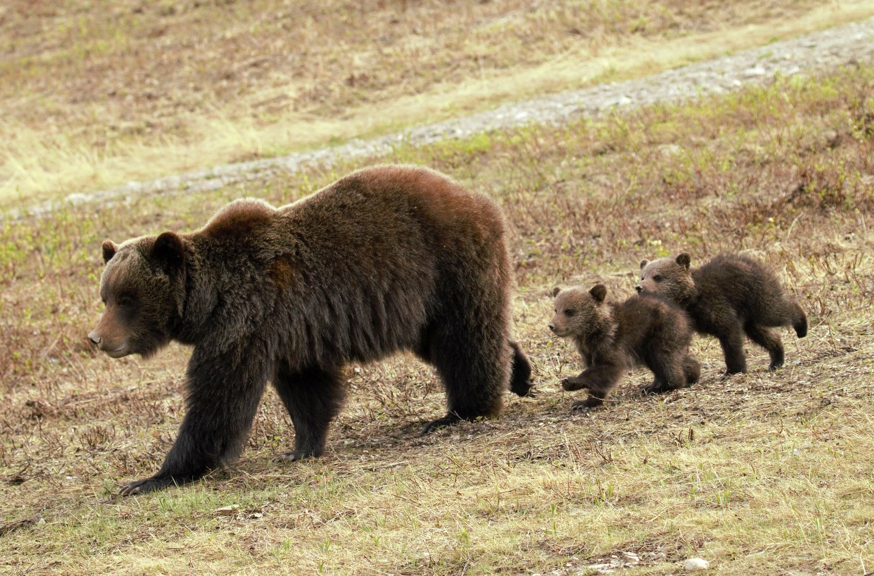 15 memories to make in Jasper this summer | Tourism Jasper
