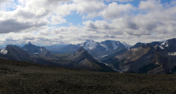Tangle Ridge Day Hike | Tourism Jasper