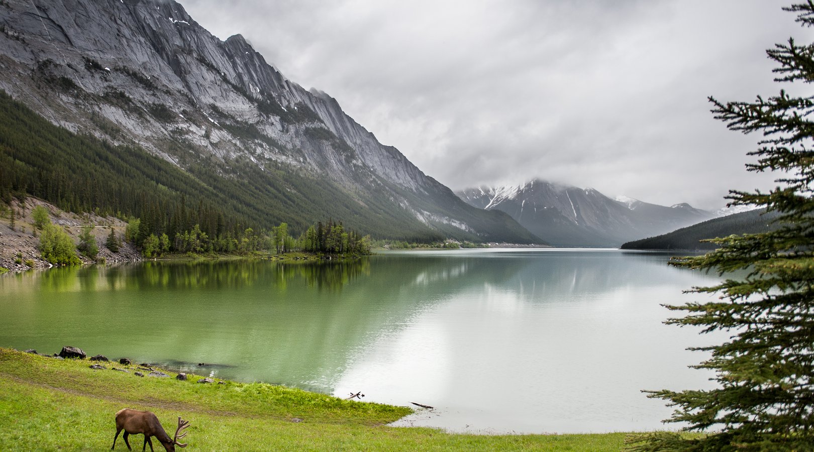 Taste of Spring | Tourism Jasper