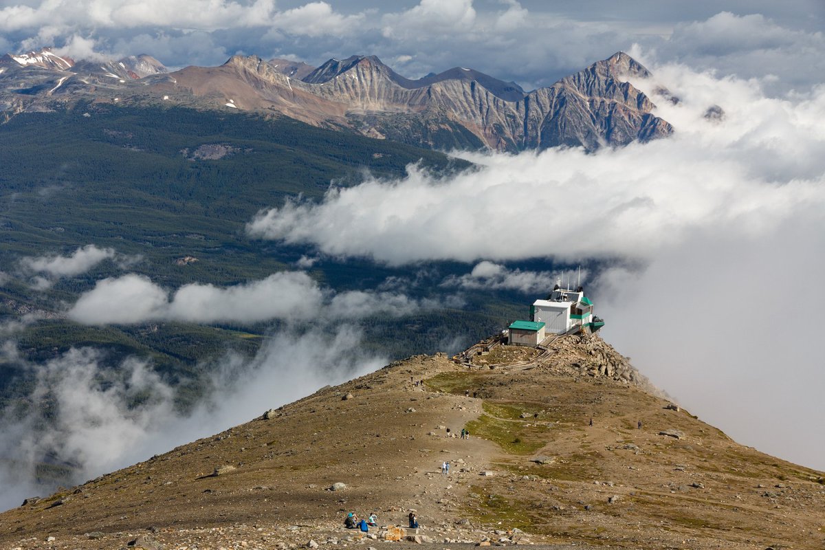 7 things to do at the Jasper SkyTram | Tourism Jasper