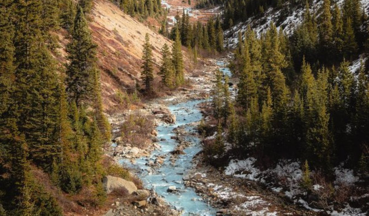 Hidden Valley Hike | Tourism Jasper
