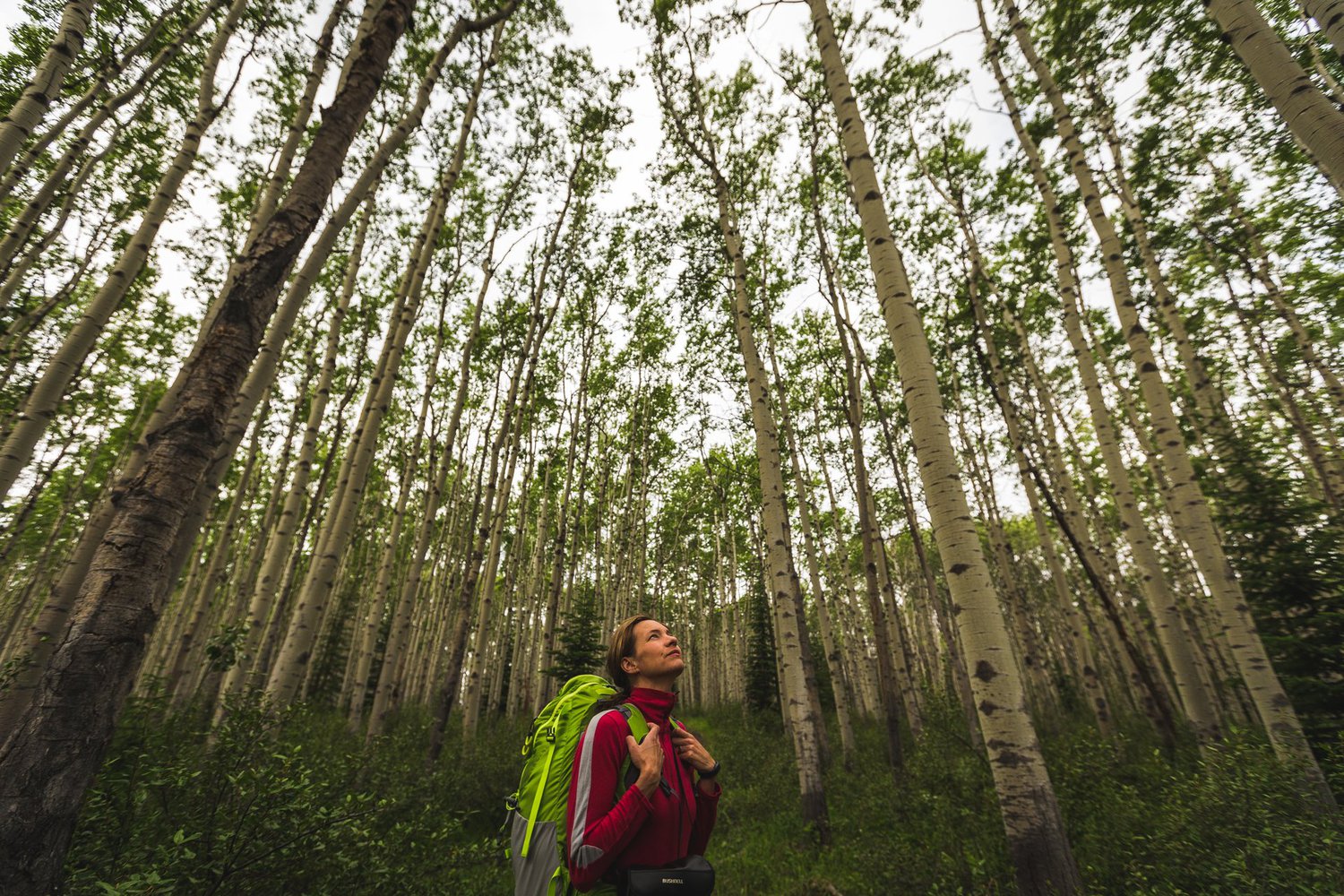 Community Resources | Tourism Jasper