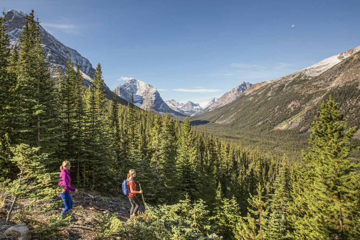 The Cavell Meadows Trail Day Hike | Tourism Jasper