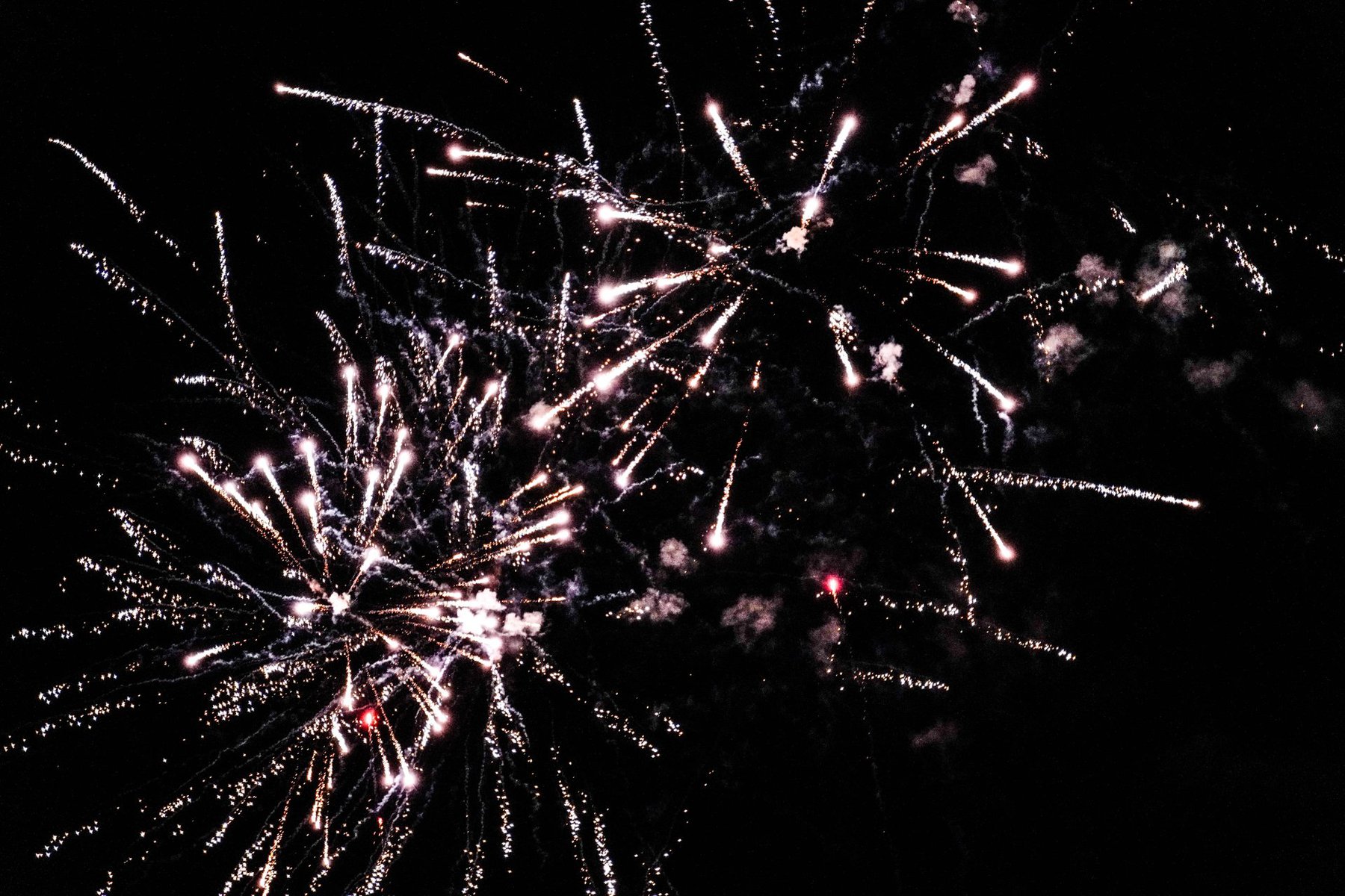 Best things to do during Jasper in January Festival (weekend three ...