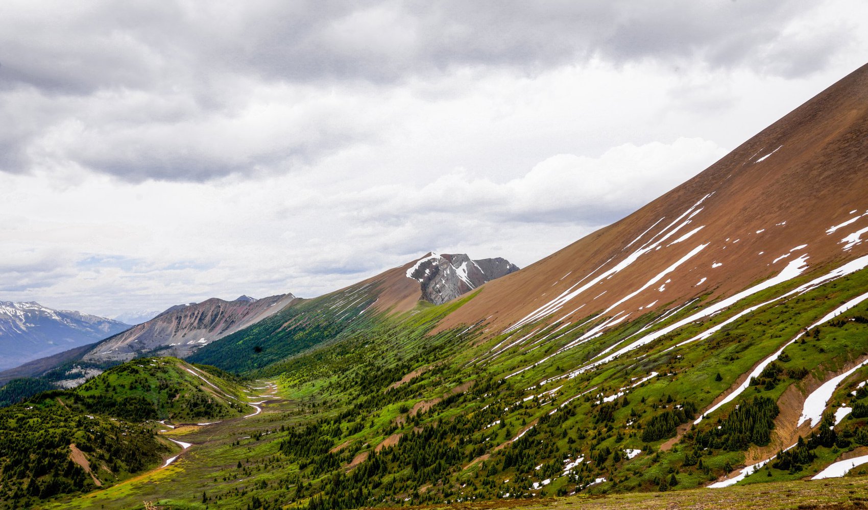 Jasper Weather | Tourism Jasper