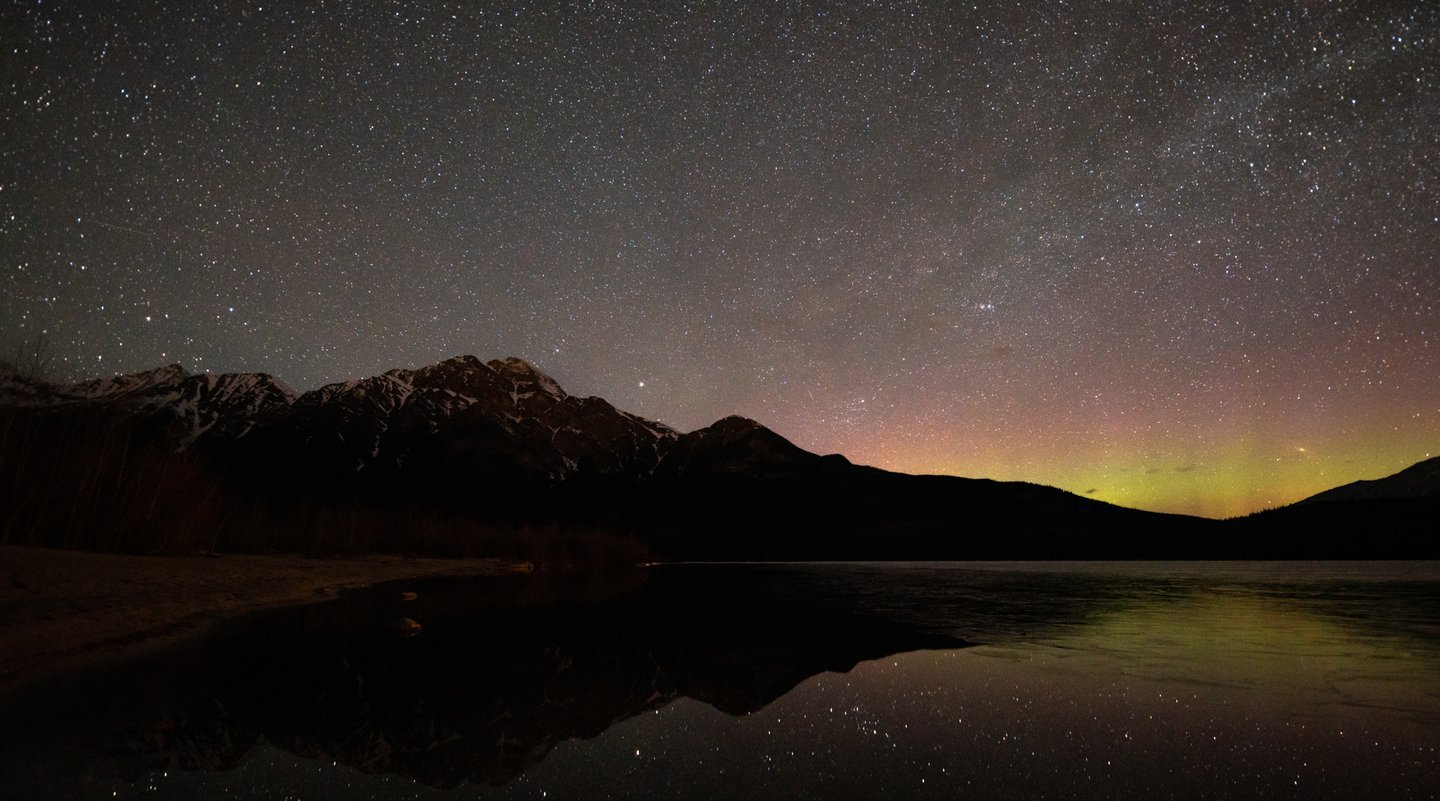 Jasper Creature Return | Tourism Jasper